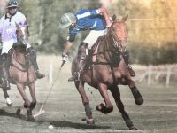 1st ANNUAL STOMPING THE DIVOTS - Jackson Hole Therapeutic Riding