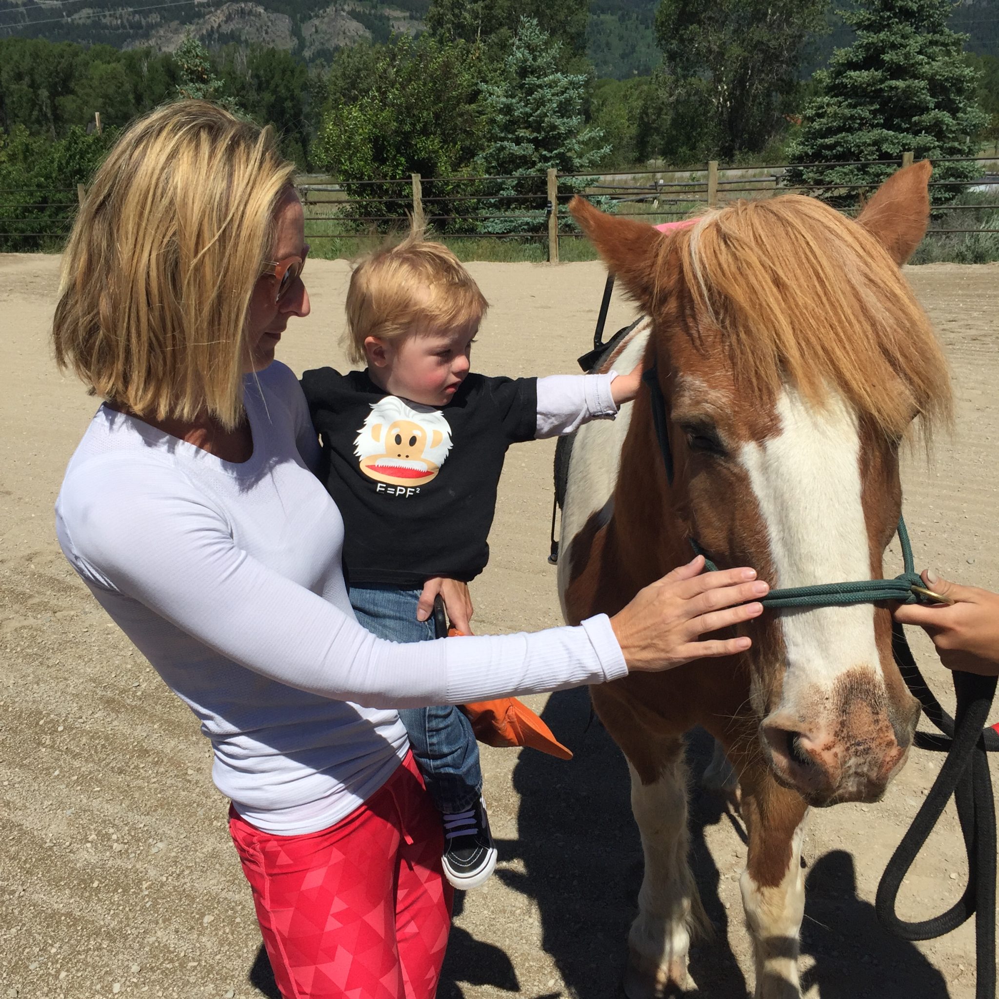 CROSBY'S JHTR STORY BEGINS - Jackson Hole Therapeutic Riding